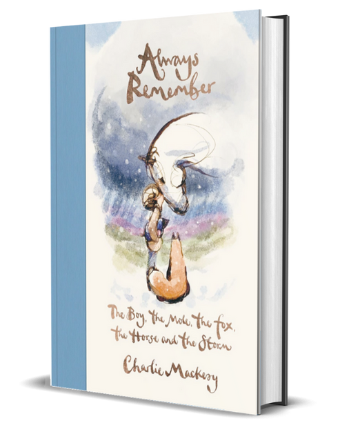 Always Remember: The Boy, the Mole, the Fox, the Horse and the Storm ...